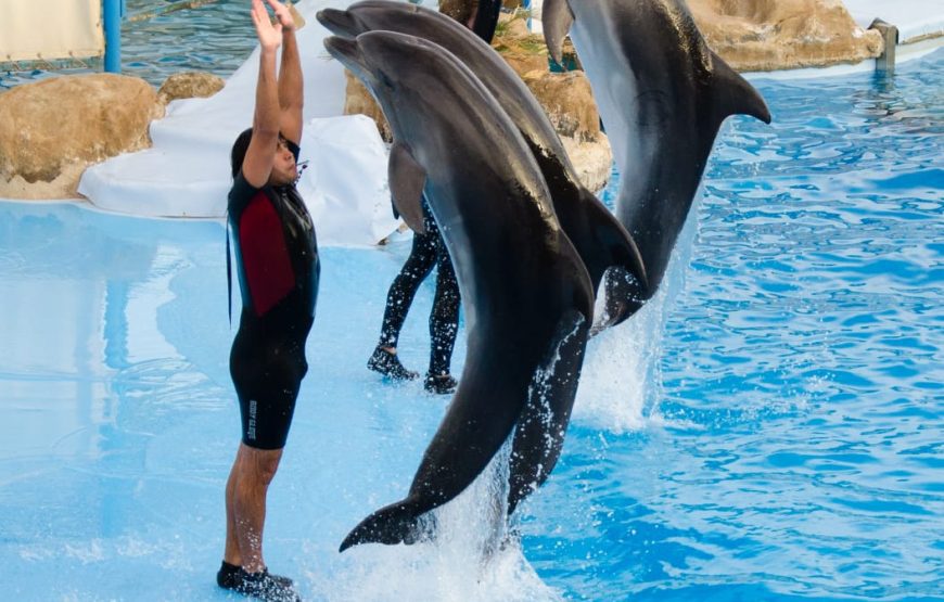 Full-Day Fun Adventure in Hurghada – Next Vacation